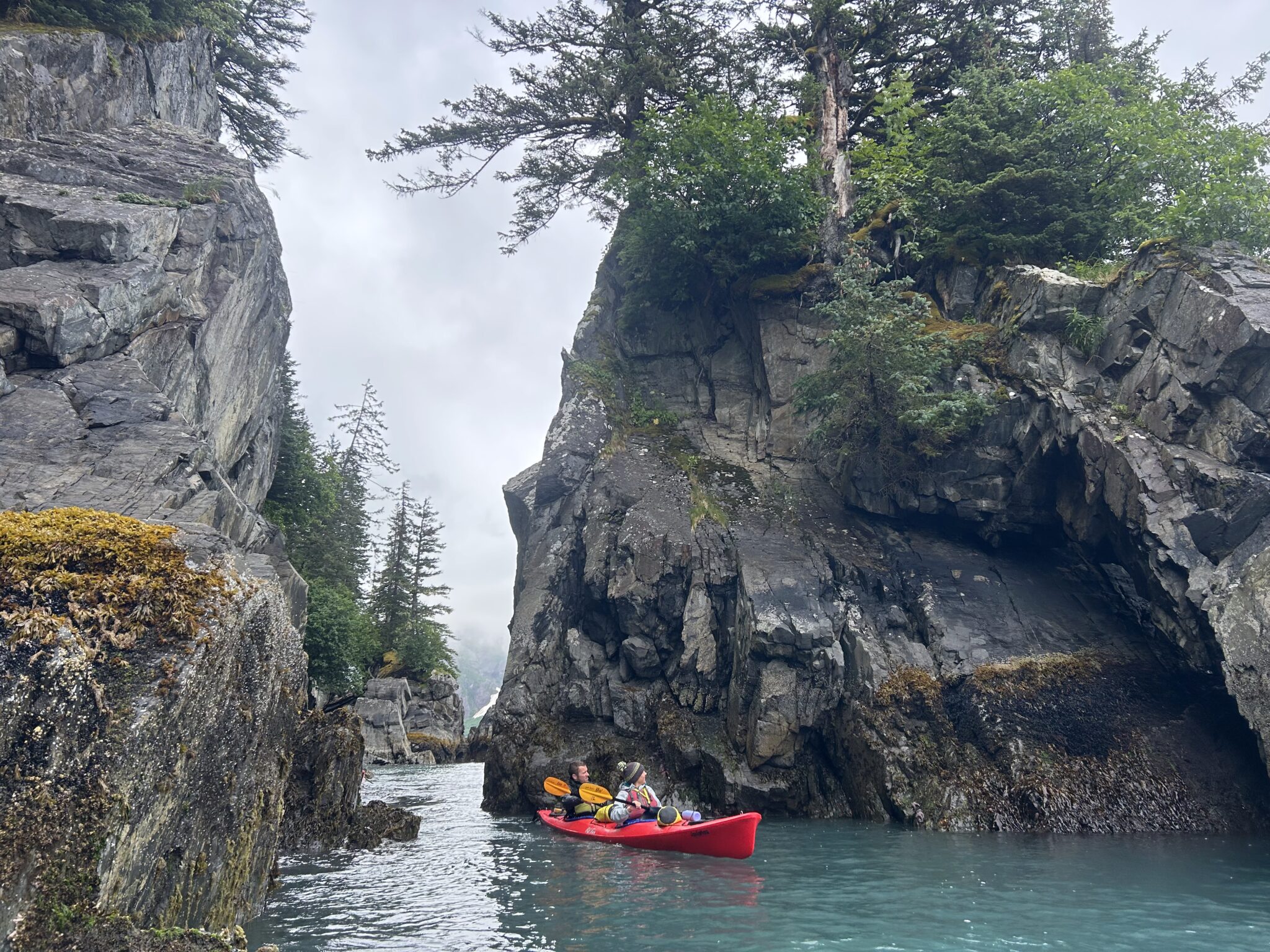 Fox Island Day Trip - Kayak Adventures Worldwide