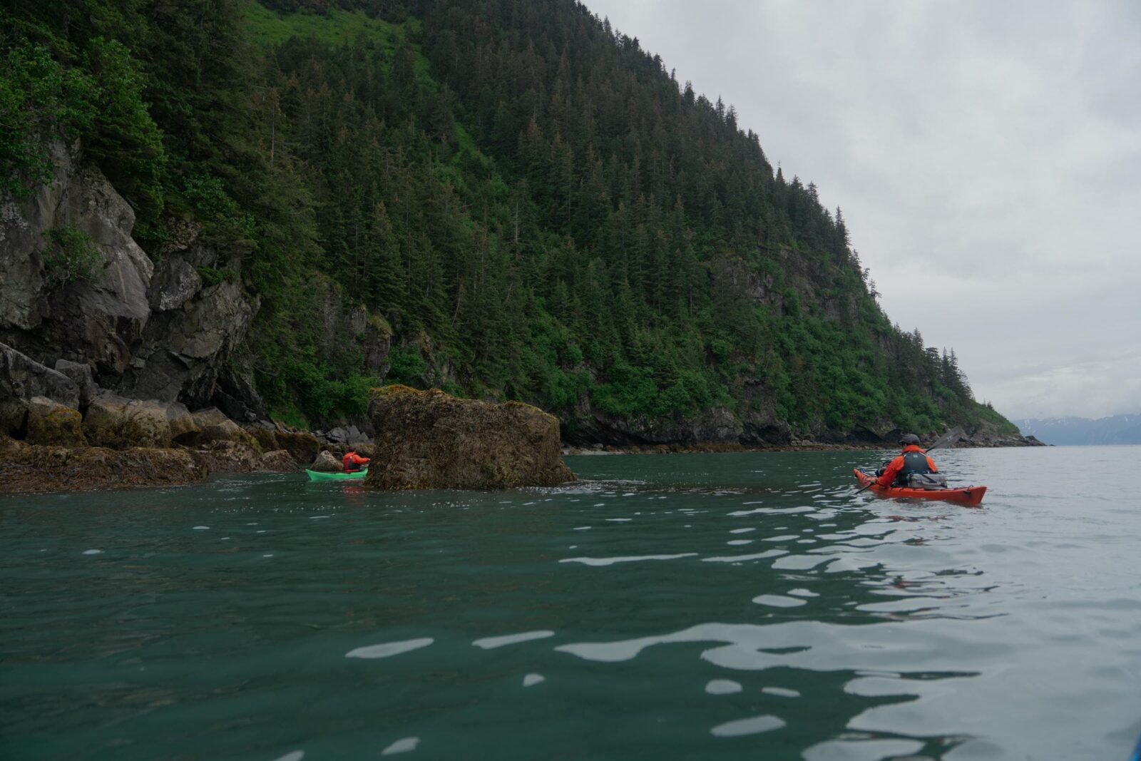 Resurrection Bay Half Day Kayak Tour - Kayak Adventures Worldwide